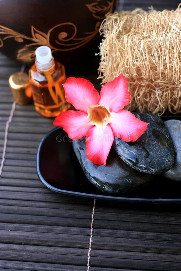 Spa and Wellness Image stock photo. Image of alternative - 21400260