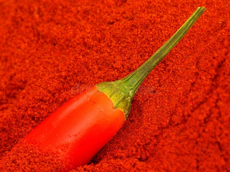 Chili op Rood stock foto. Image of scherp, eetbaar, plantaardig - 1692444