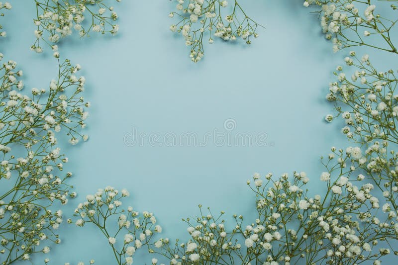 Space for Copy Background and Flower Decoration on Blue Background ...