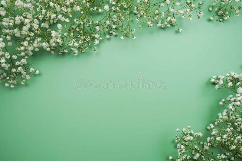 Space for Copy Background and Flower Decoration Stock Image - Image of ...