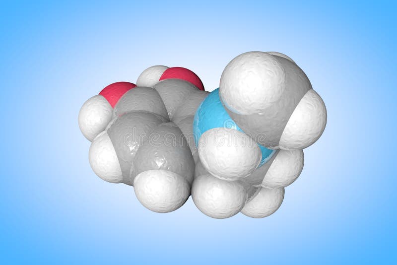 Space-filling Molecular Model of Epinephrine. Atoms are Represented As ...