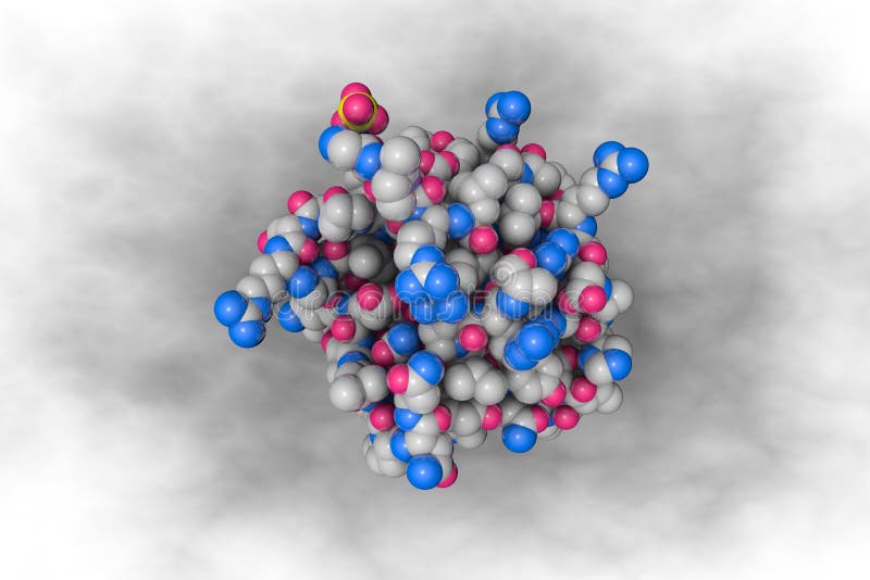 Space-filling Molecular Model of Fibroblast Growth Factor 4 (FGF4) on ...