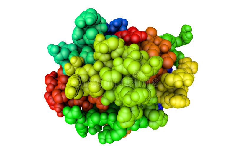 Protein G Stock Illustrations – 143 Protein G Stock Illustrations ...