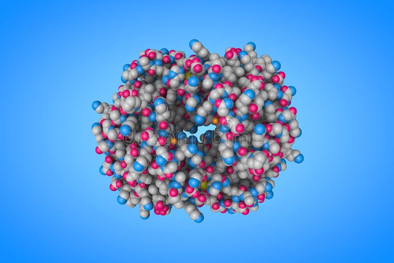 Space-filling Molecular Model of Human Deoxyhaemoglobin, a Form of ...