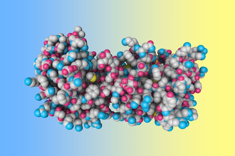 Human Granzyme B, a Protein Released by Pathogen-infected or ...