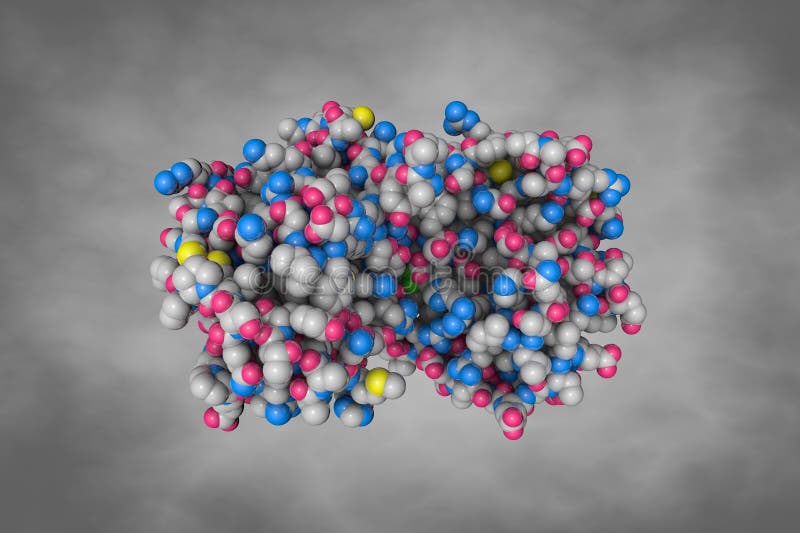 Space-filling Molecular Model of Human Mitogen Activated Protein Kinase ...