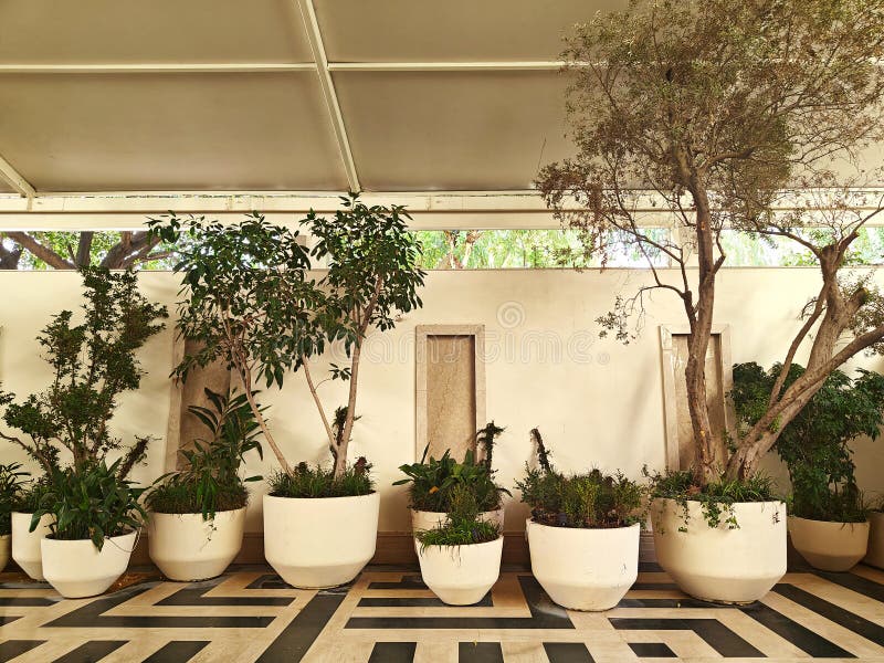 This Space Highlights an Array of Plants in Stylish Pots Along a Modern ...