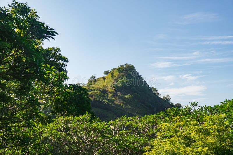Space Landscape with Green Forests, Mountains and Beautiful Clouds. the ...