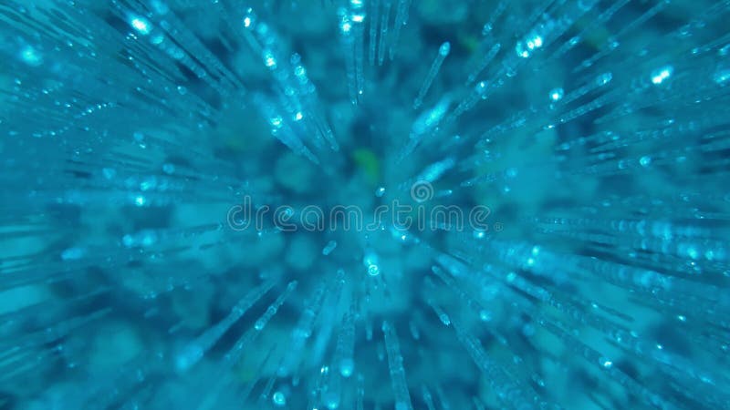 Space Magical Deep Baikal Ice With Cracks Before Your Eyes Close Up
