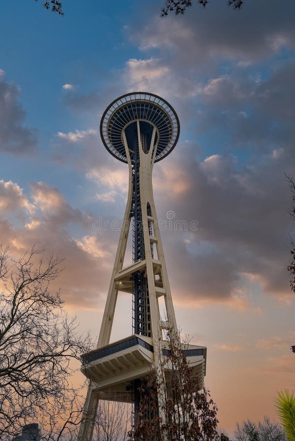 Low Angle View of the Space Needle Framed by Bare Tree Branches Stock ...