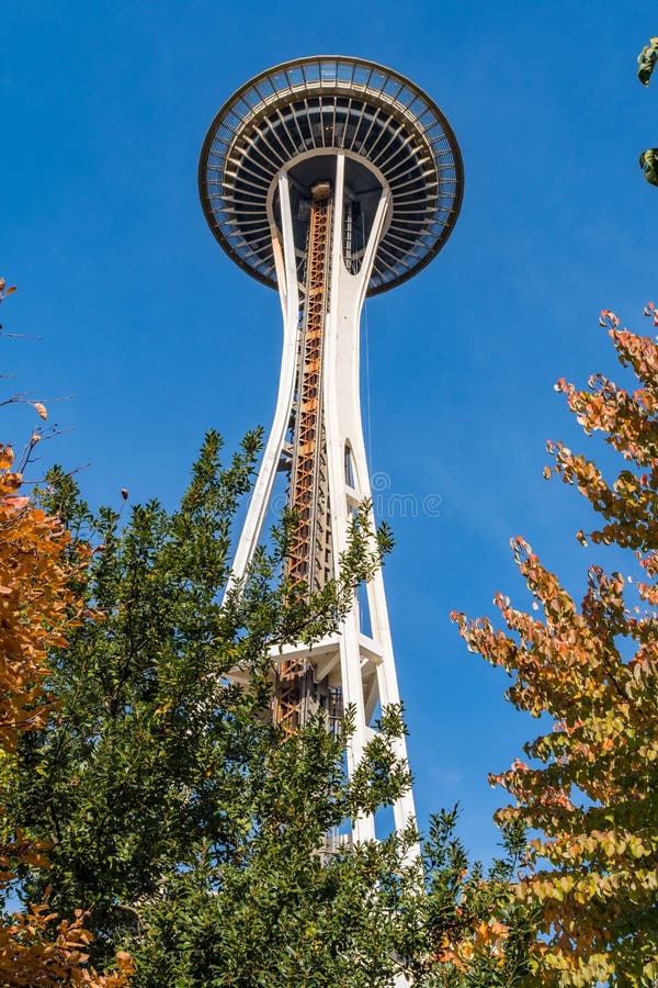 The Space Needle Seen between the Tree Branches of Space Needle Park in ...