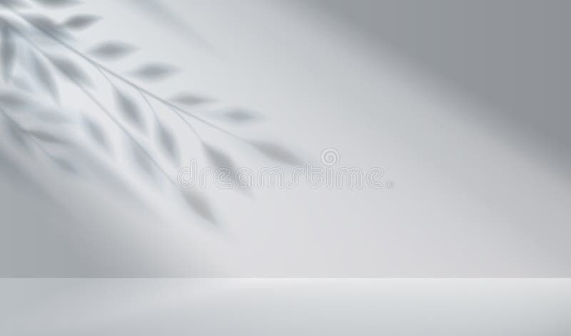 Space with Shadow from Plant on Wall, Scene with Bright Light from the ...