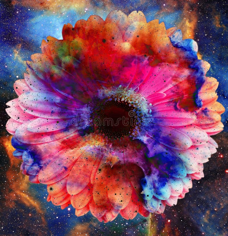 Cosmic Space Flower Color Galaxy Background Computer Collage Stock ...
