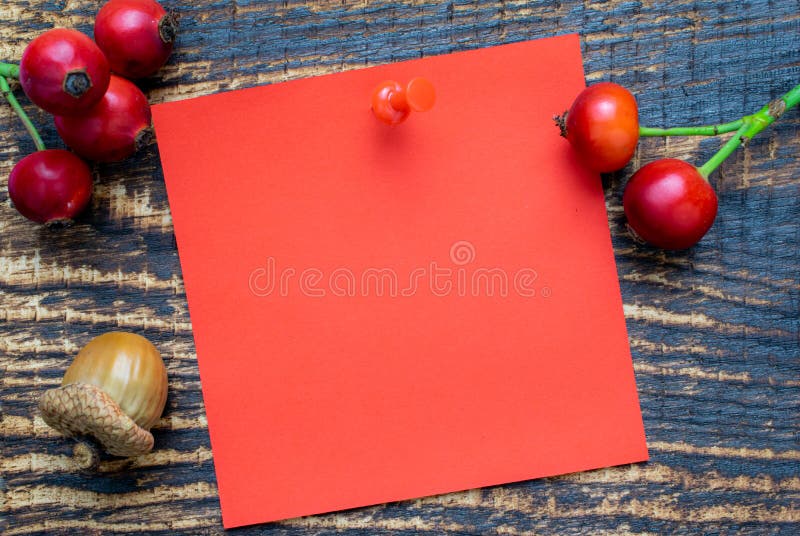 Space for Text, Blank Note on a Notice Board. Autumn Background with ...