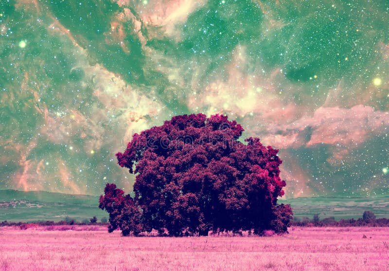 Space trees colection stock photo. Image of scary, horror - 58736652