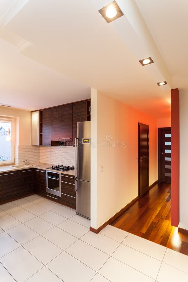 Spacious Apartment - Inside Stock Photo - Image of minimalist, dining ...