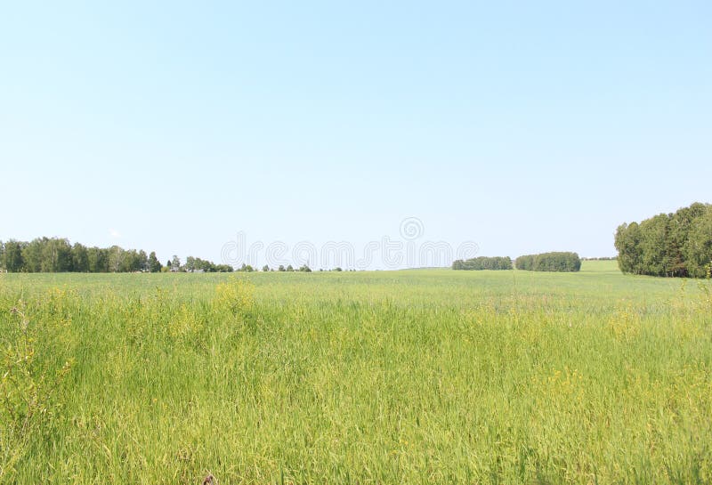 Spacious Field Stretching into the Distance Stock Photo - Image of ...