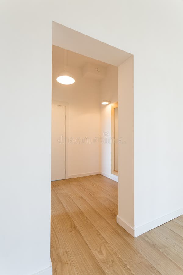 Minimalist Hall Interior Design with Glass Door. Modern Home Interior ...