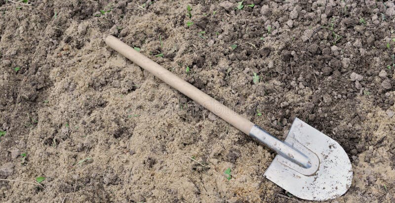 Spade stock photo. Image of terrain, ground, gardening - 26026998