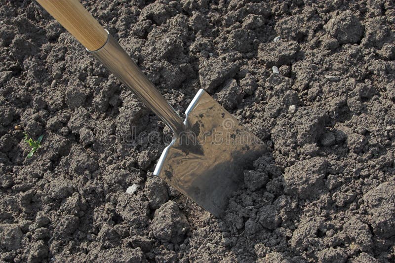 A spade digging the soil stock photo. Image of turn, cultivate - 2198236