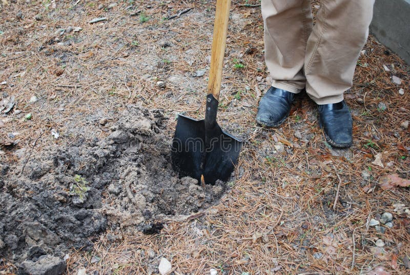 Spade bit and hole stock image. Image of hole, woodwork - 20295699