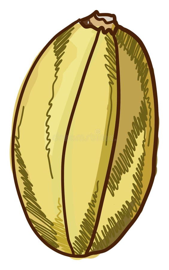 Spaghetti Squash Icon Stock Illustrations – 28 Spaghetti Squash Icon ...