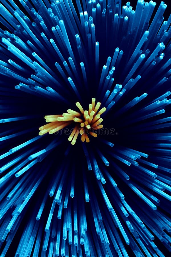 Spaghetti Color stock image. Image of italia, cook, gourmet - 13276827