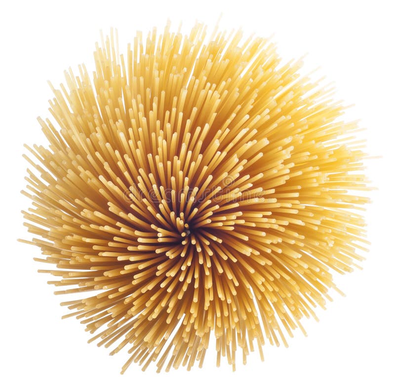 Spaghetti flower stock photo. Image of isolated, group - 35416612