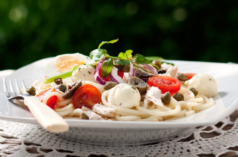 Spaghetti with mozzarella stock photo. Image of mozzarella - 15277606