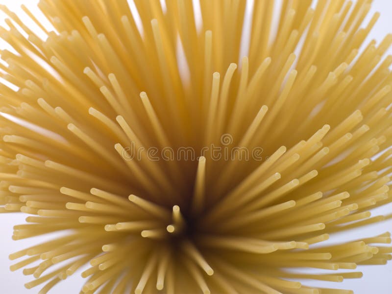 Spaghetti Pasta stock photo. Image of pasta, shot, objects - 7230318