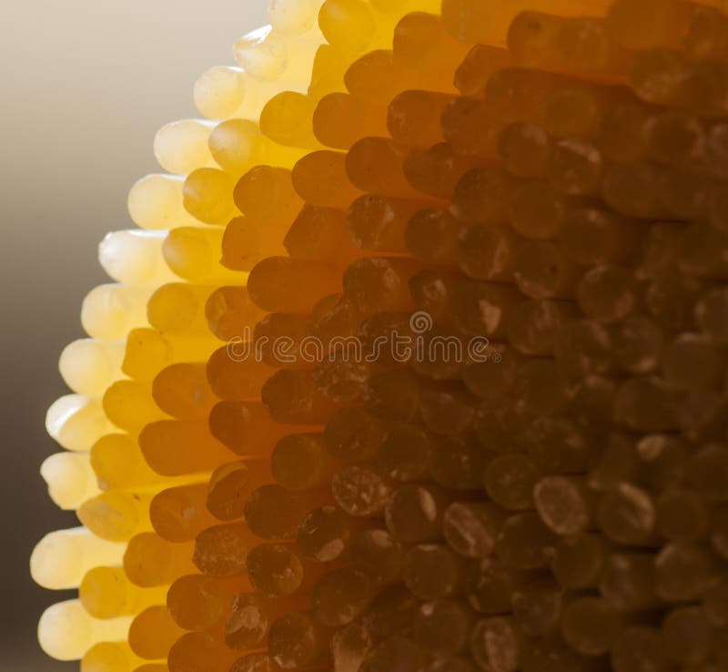 Spaghetti stock image. Image of paper, spaghetti, arranged - 84000613