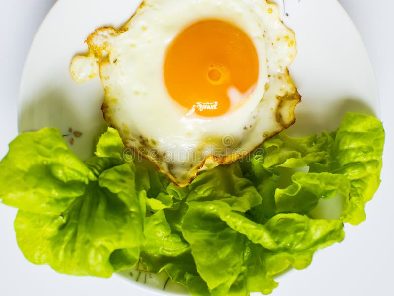 Spaghetti Pasta with Fried Eggs on Isolated White Background. Stock ... Spaghetti Pasta with Fried Eggs on Isolated White Background. Stock ...