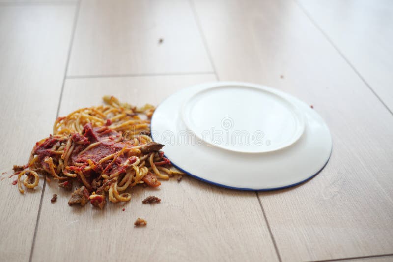 Spaghetti and Sauce Spilled on Floor. Stock Photo - Image of careless ...