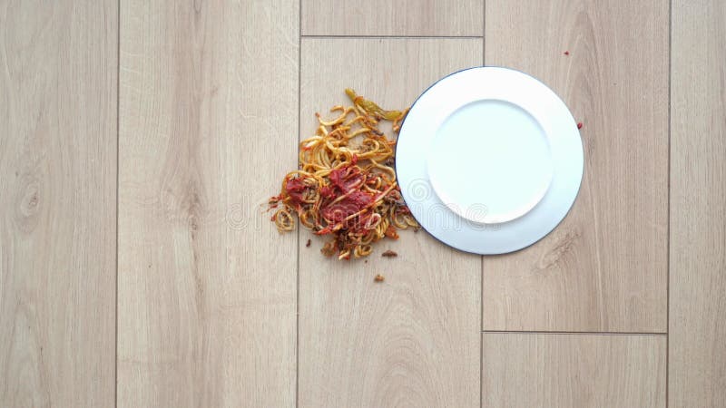 Spaghetti and Sauce Spilled on Floor. Stock Video - Video of stained ...