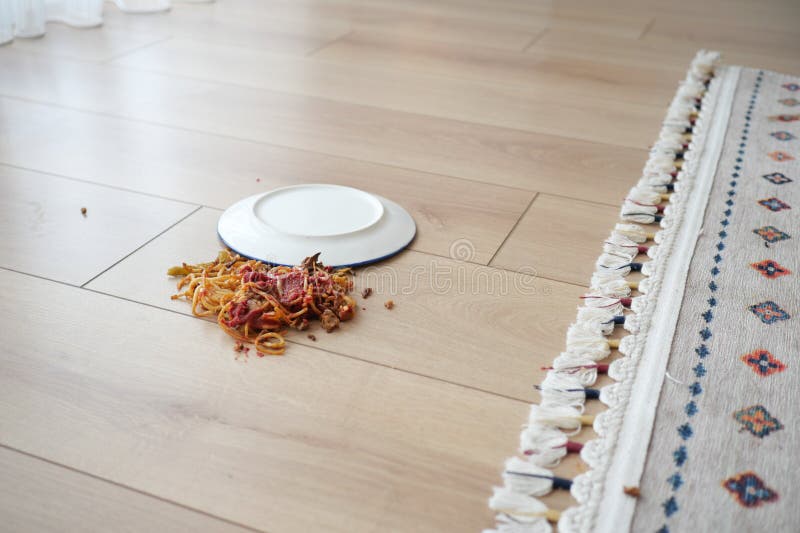 Spaghetti and Sauce Spilled on Floor. Stock Photo - Image of spilling ...