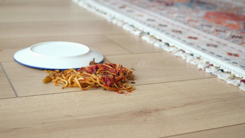Spilled Spaghetti on the Floor Stock Footage - Video of mess, accident ...
