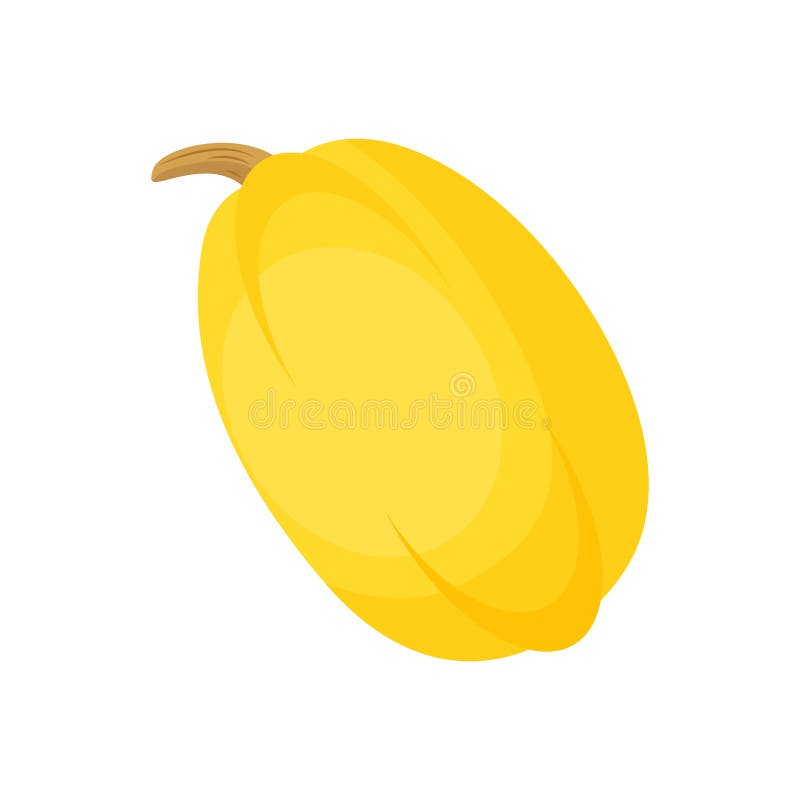 Spaghetti Squash Icon Stock Illustrations – 48 Spaghetti Squash Icon ...