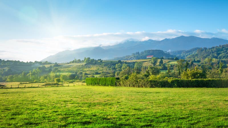 Spain Countryside Landscape Stock Image - Image of tree, scenic: 60659593