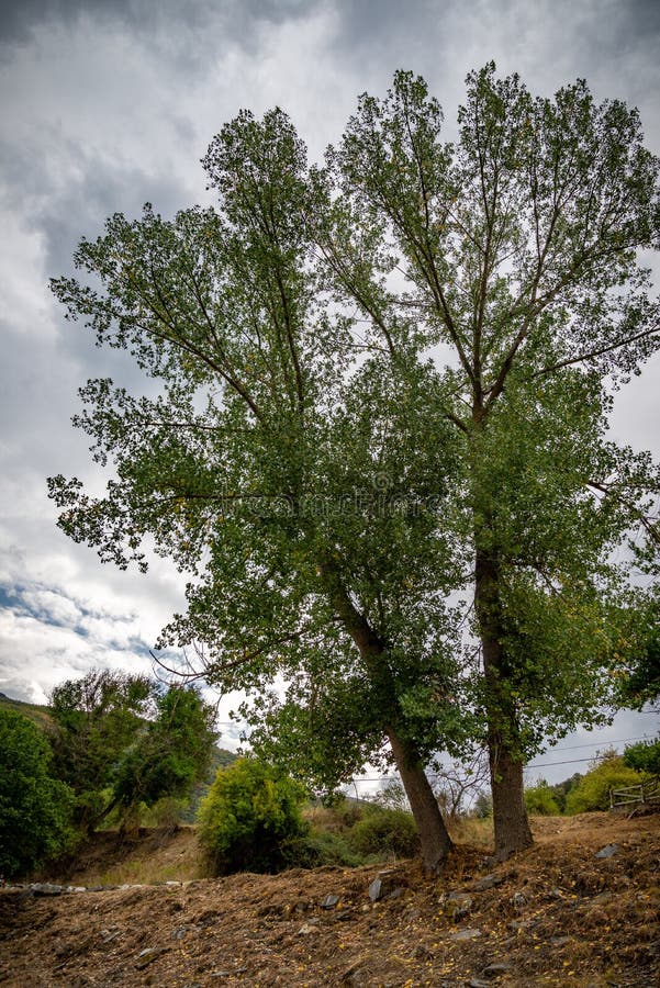 Spain Countryside in Spring Stock Photo - Image of central, country ...