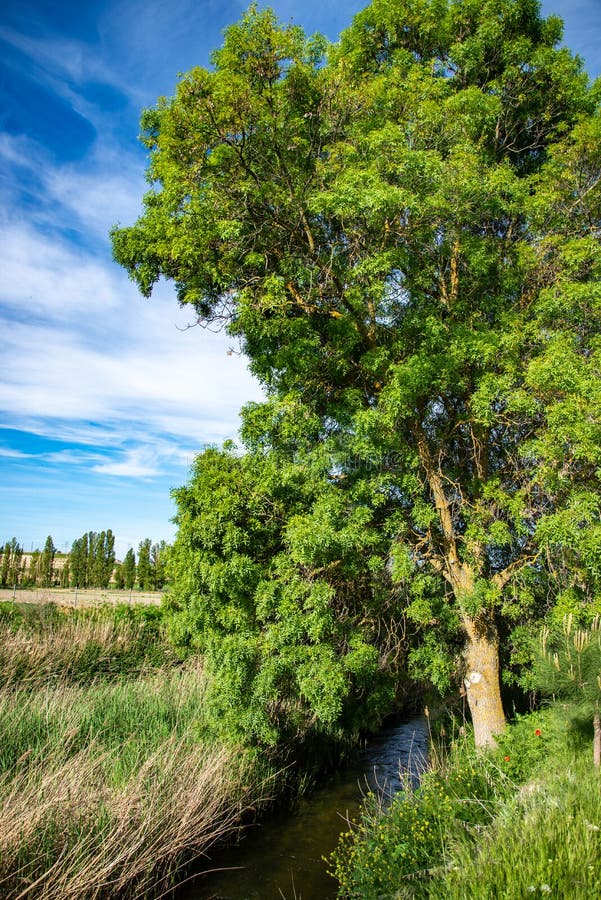 Spain Countryside in Spring Stock Image - Image of drag, spain: 219329407