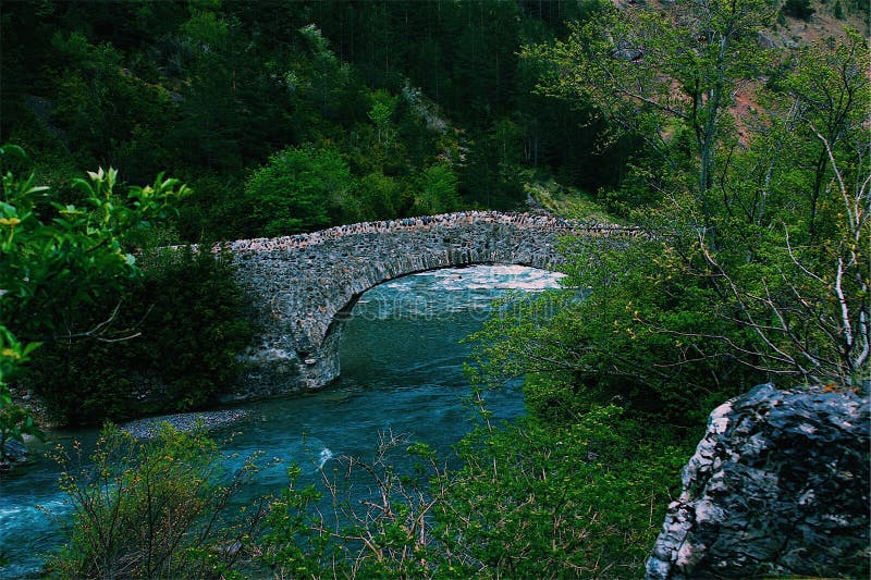 Spain River stock photo. Image of trees, river, beauty - 135058812