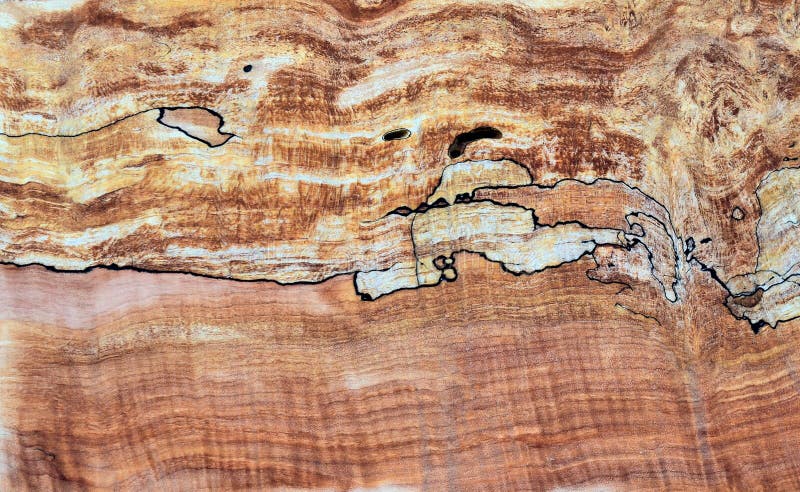 Spalted Maple wood panel stock photo. Image of graining - 75878916