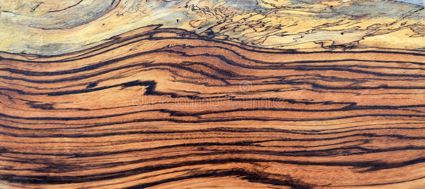 2,255 Zebra Patterns Stock Photos - Free & Royalty-Free Stock Photos ...