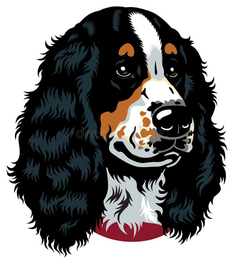 Cartoon spaniel stock vector. Illustration of caricature - 28218036