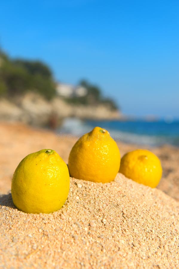 Spanish Assortment Fruit at the Beach Stock Image - Image of lemon ...