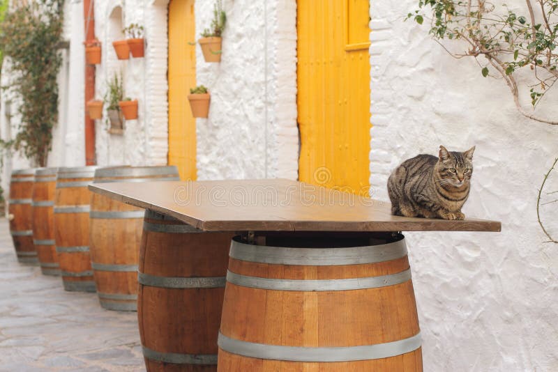 Spanish Bar Outside in Siesta Time, Cat is Sitting on Barrel Tab Stock ...