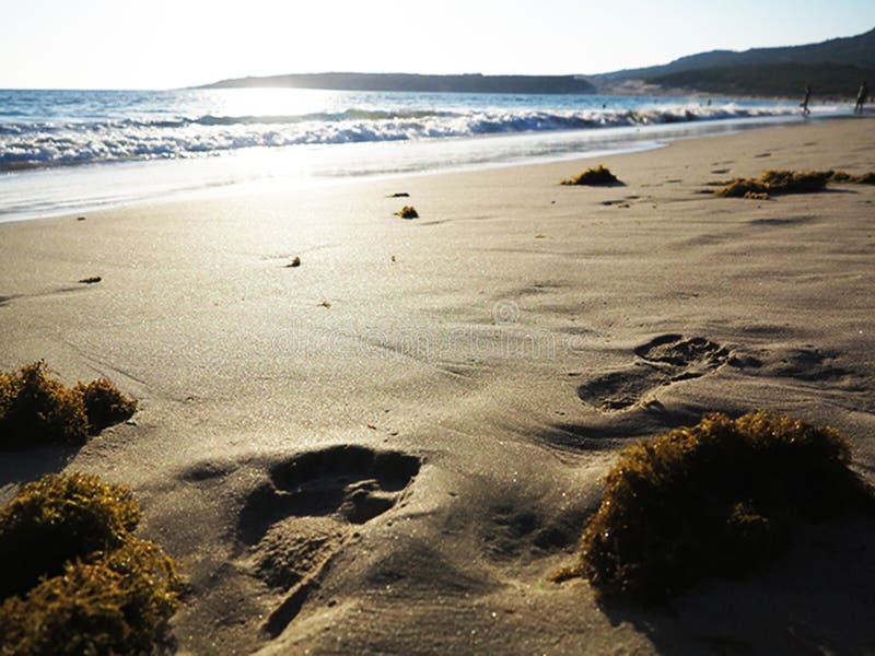Spanish beach stock image. Image of landscape, beach - 84077619
