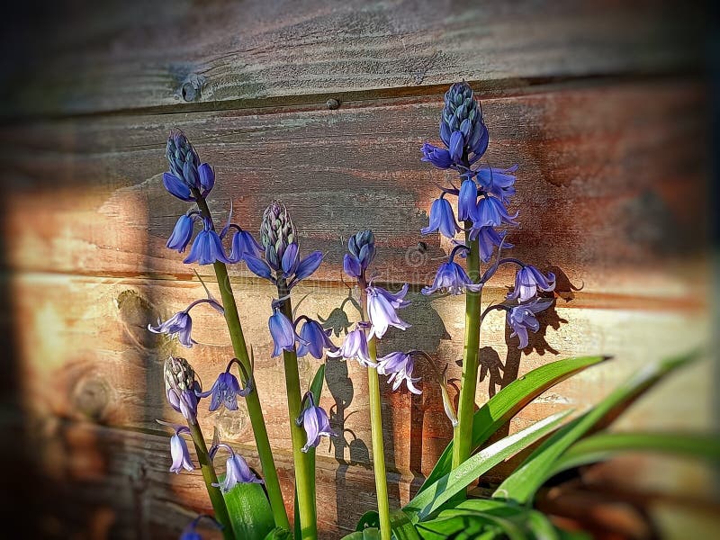 Flieers Stock Photos - Free & Royalty-Free Stock Photos from Dreamstime