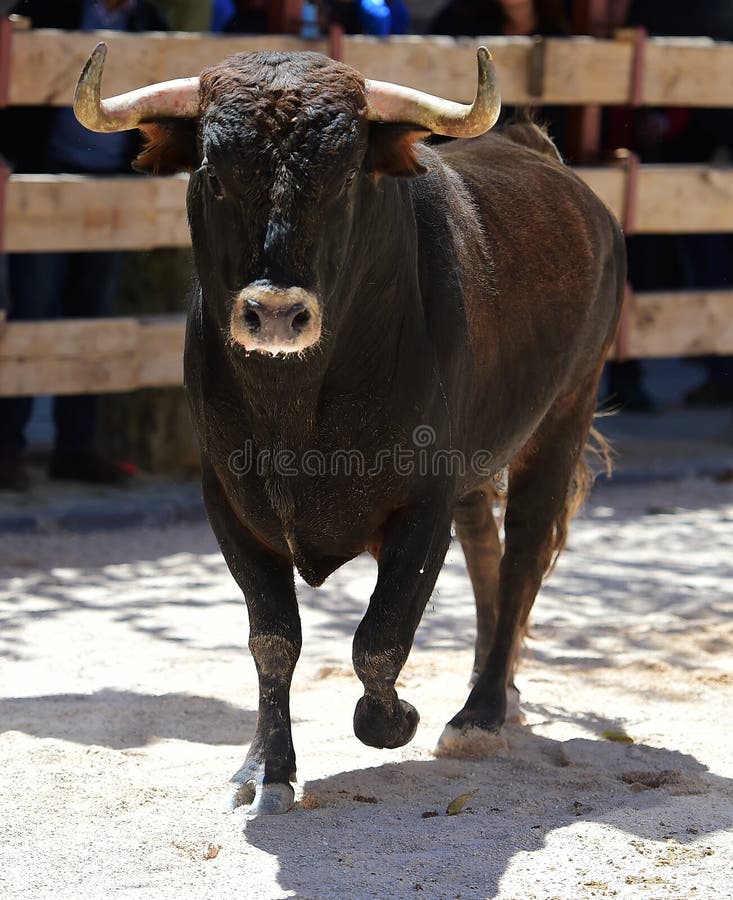 Spanish bull statue editorial photography. Image of symbol - 106976462