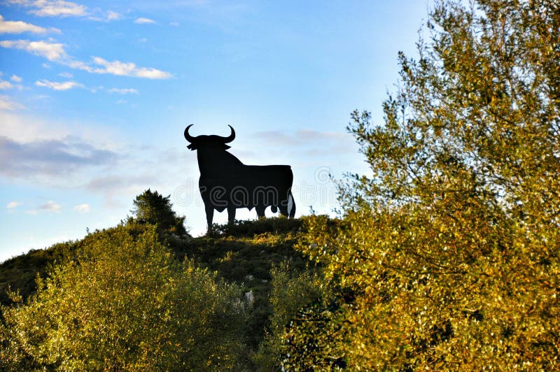 Spanish Bull Sign Stock Images - Download 141 Royalty Free Photos